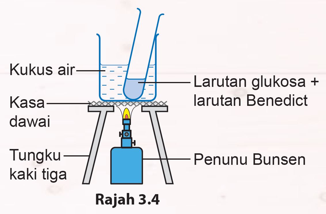 Aktiviti 3.1 – Sains Tingkatan 3 (KSSM) Bab 2 - Sains Tingkatan 1, 2 & 3
