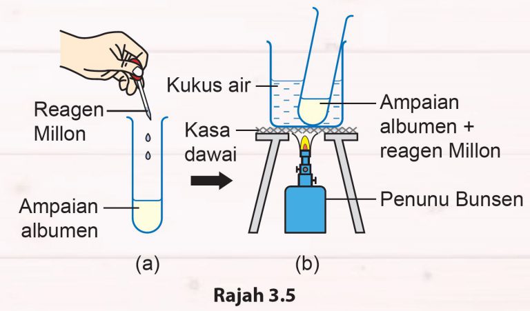 Aktiviti 3.1 – Sains Tingkatan 3 (KSSM) Bab 2 - Sains Tingkatan 1, 2 & 3