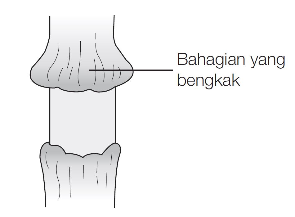 Aktiviti 3.9 – Sains Tingkatan 3 (KSSM) Bab 3 - Sains Tingkatan 1, 2 & 3